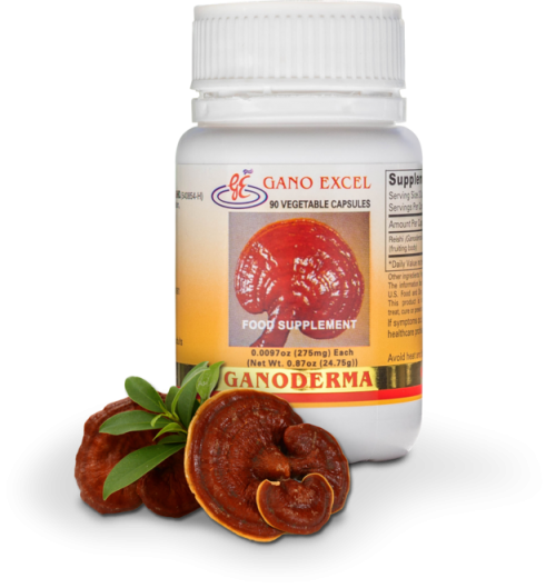 Ganoderma - Gano Excel US